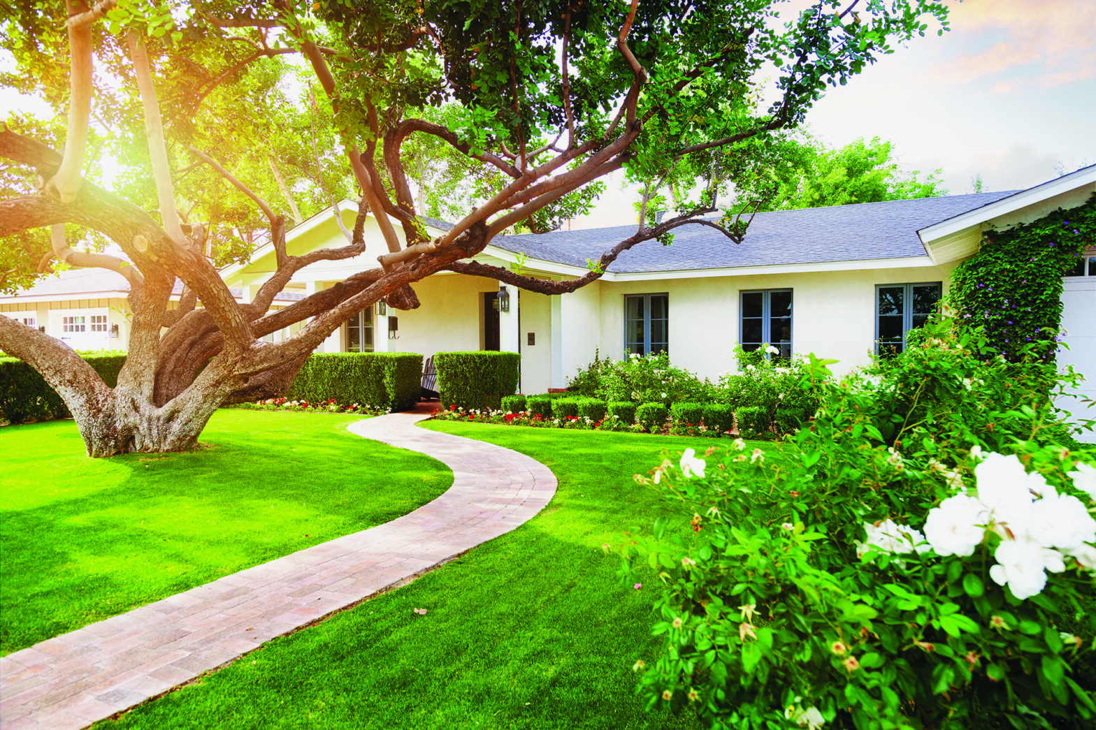 BirdHouse Realty